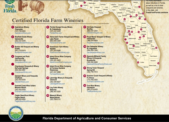 Florida Wineries: Good Taste on the Backroads